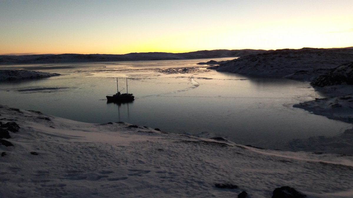 Comment réussir un bon « suaasat » par Phil le marin – Artistes en Arctique